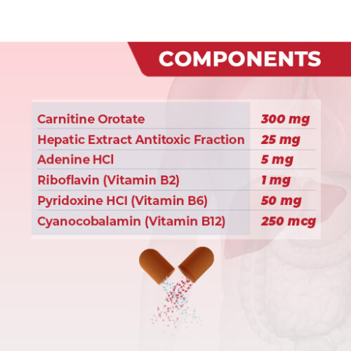 Godex DS - Beyay Pharmacy Corporation