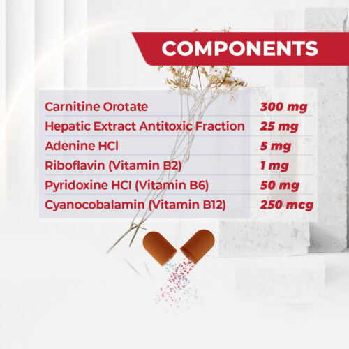 Godex DS 30S - Beyay Pharmacy Corporation